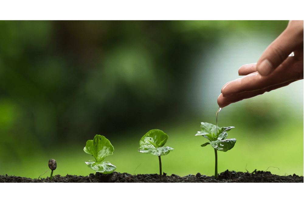 Seva – A Great Blessing – Chinmaya Gurukul